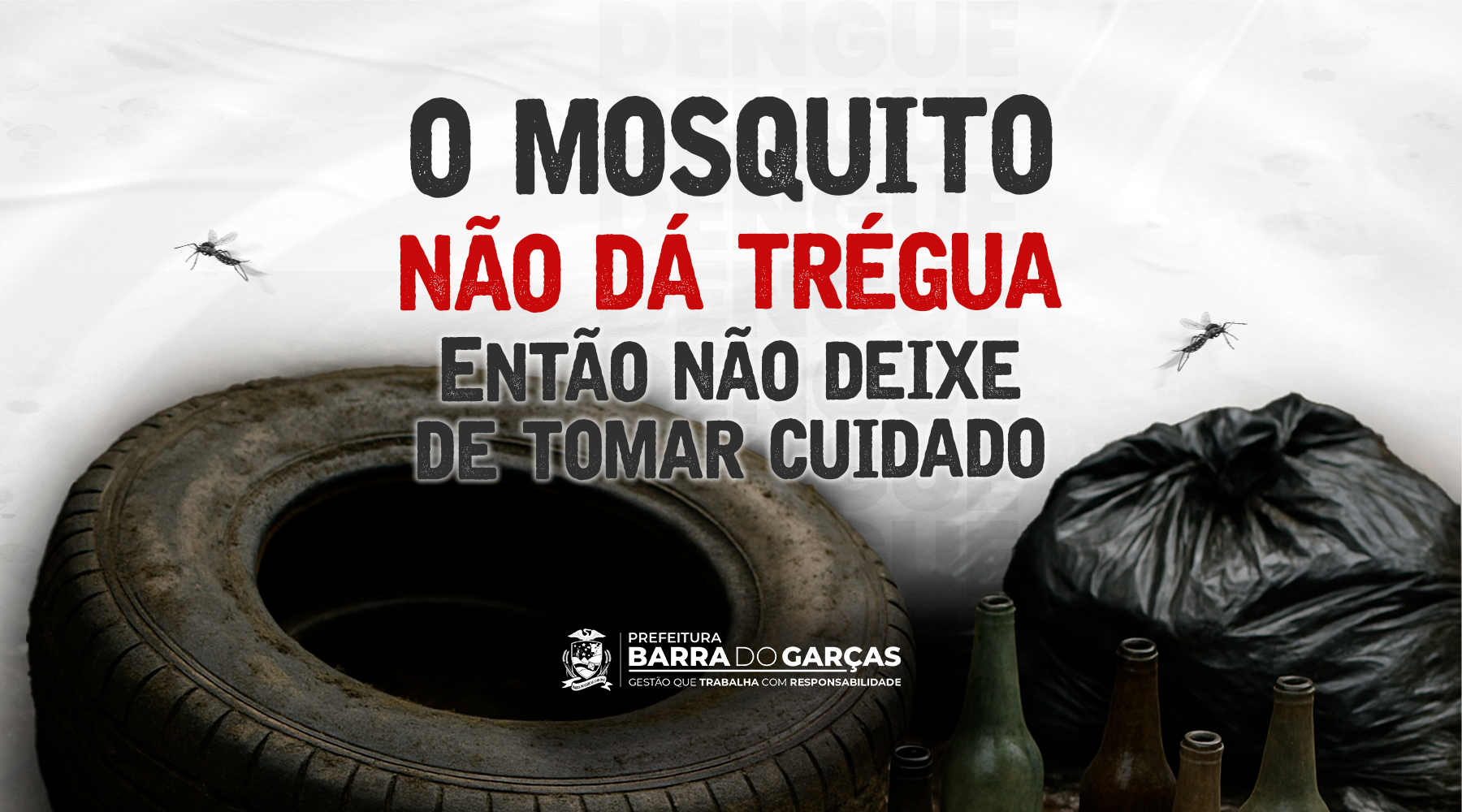 Prefeitura mantém ações preventivas contra o Aedes aegypti durante o ...